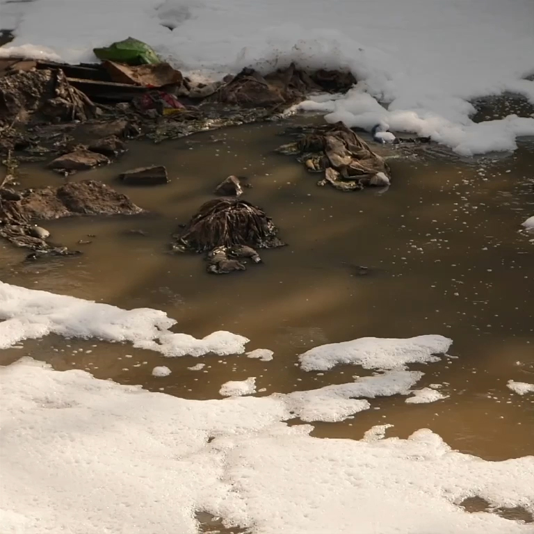 Studio Zsofia Kollar — Human Material Loop